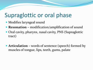 Physiology of larynx and hoarseness | PPTX