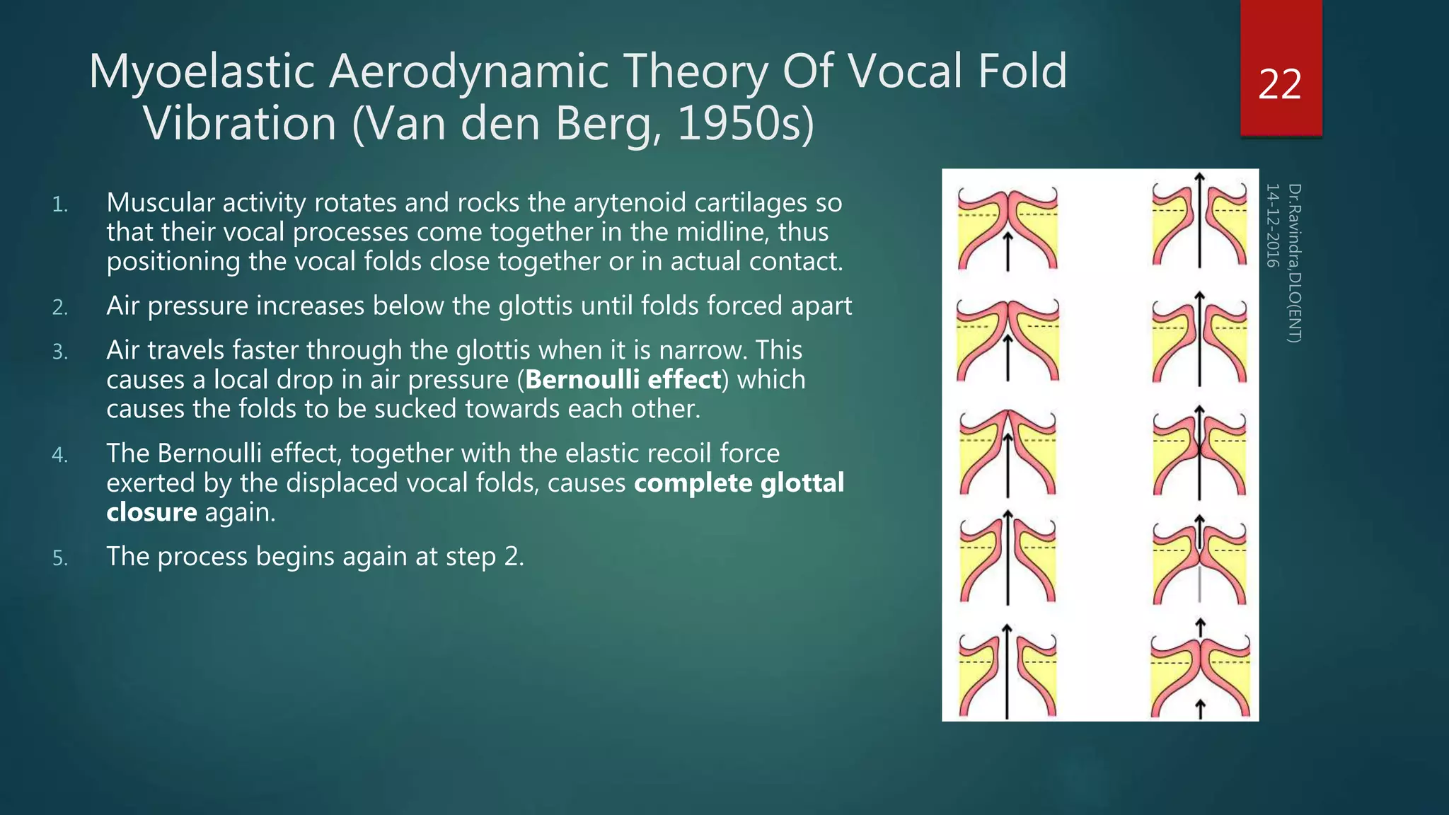 Physiology of larynx& theories of voice production(dr.ravindra ...