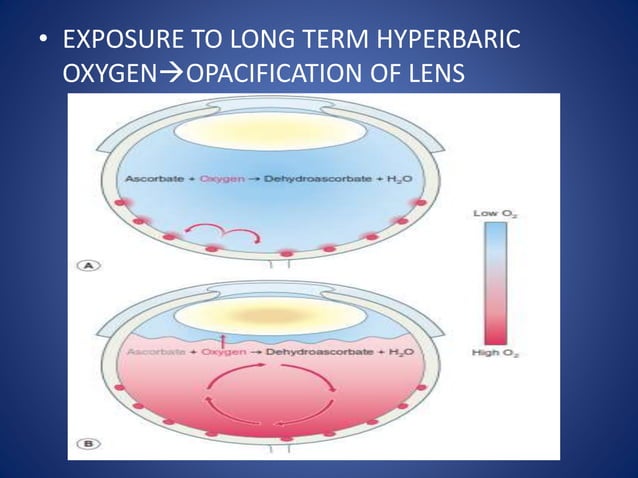 Physiology of lens and cataractogenesis | PPT