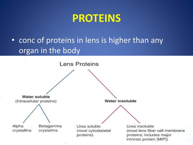 Physiology of lens and cataractogenesis | PPT