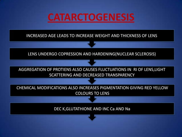 Physiology of lens and cataractogenesis sivateja | PPTX