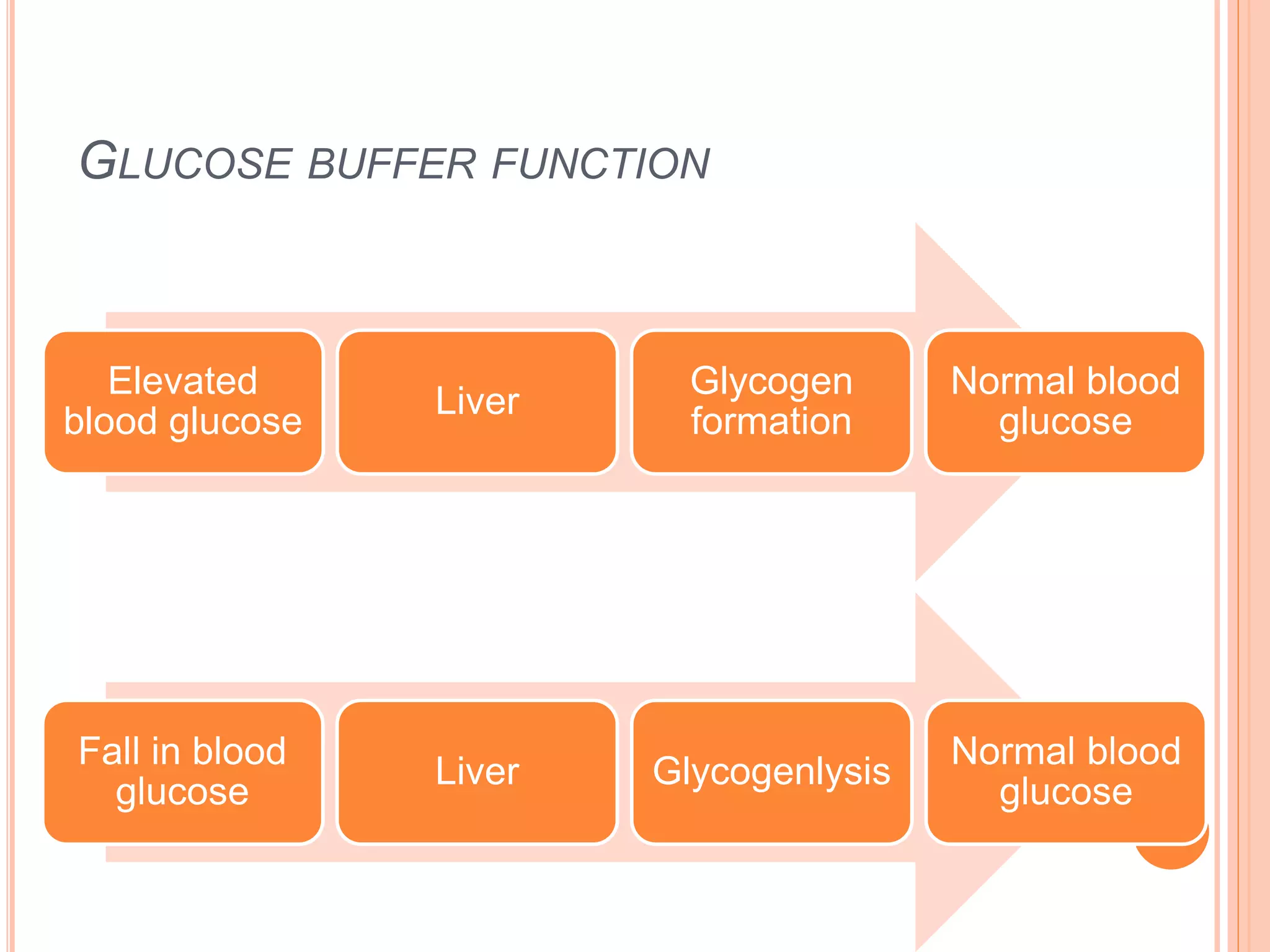 Physiology of liver | PPTX