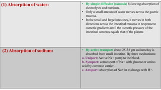Physiology of liver & Intestinal absorption.pdf