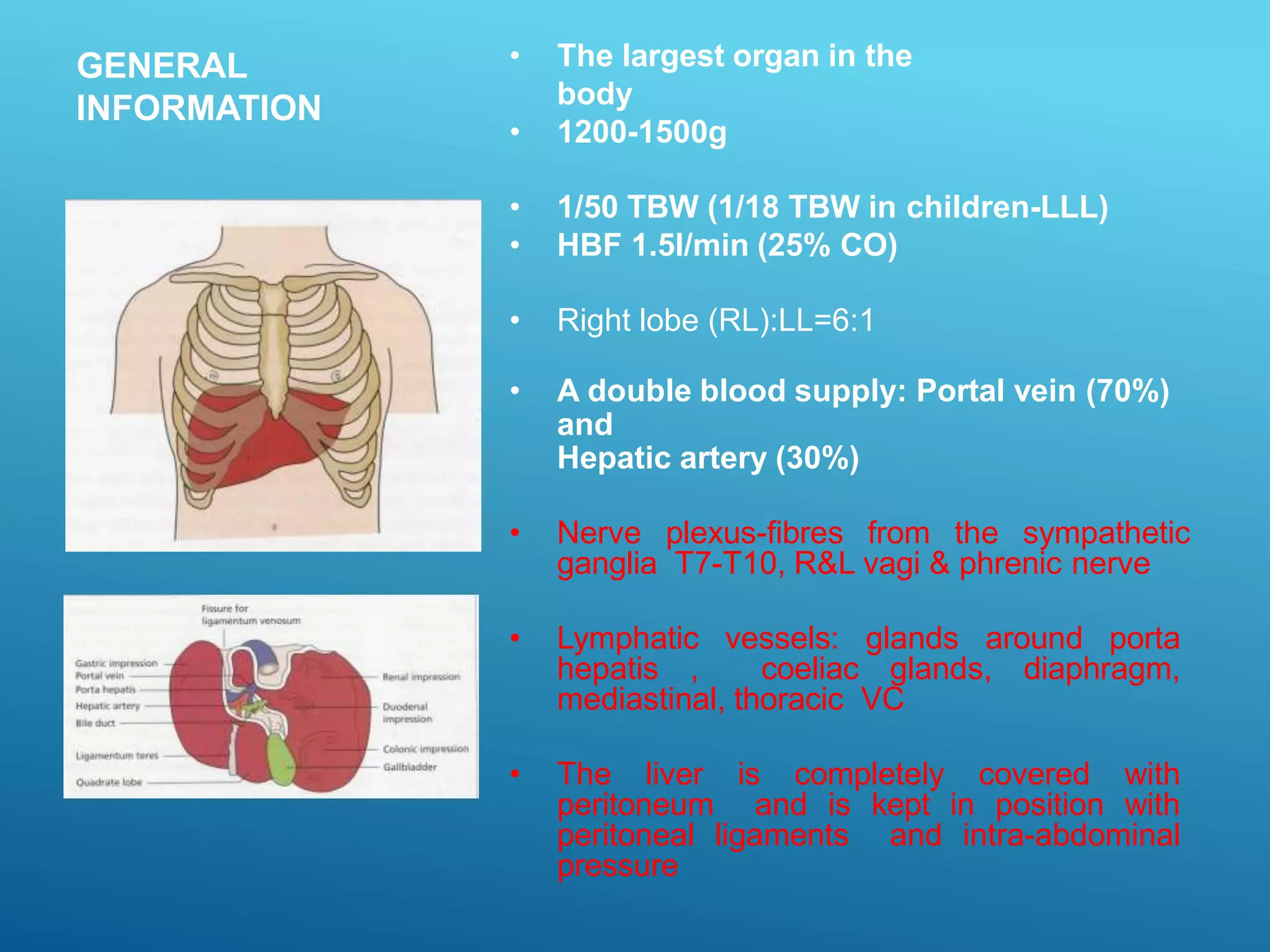 Physiology of the liver | PPT