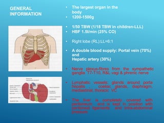 Physiology of the liver | PPTX