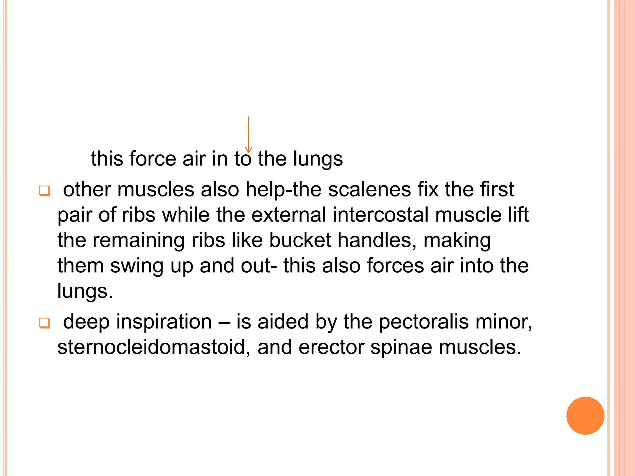 Physiology of lung | PPTX