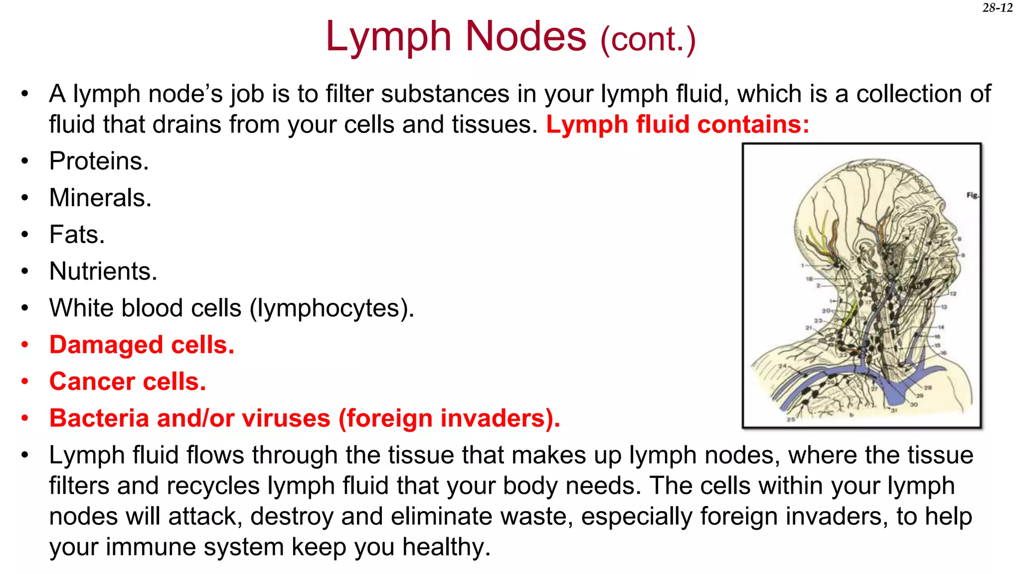 physiology of lymphatic and immune system.ppt