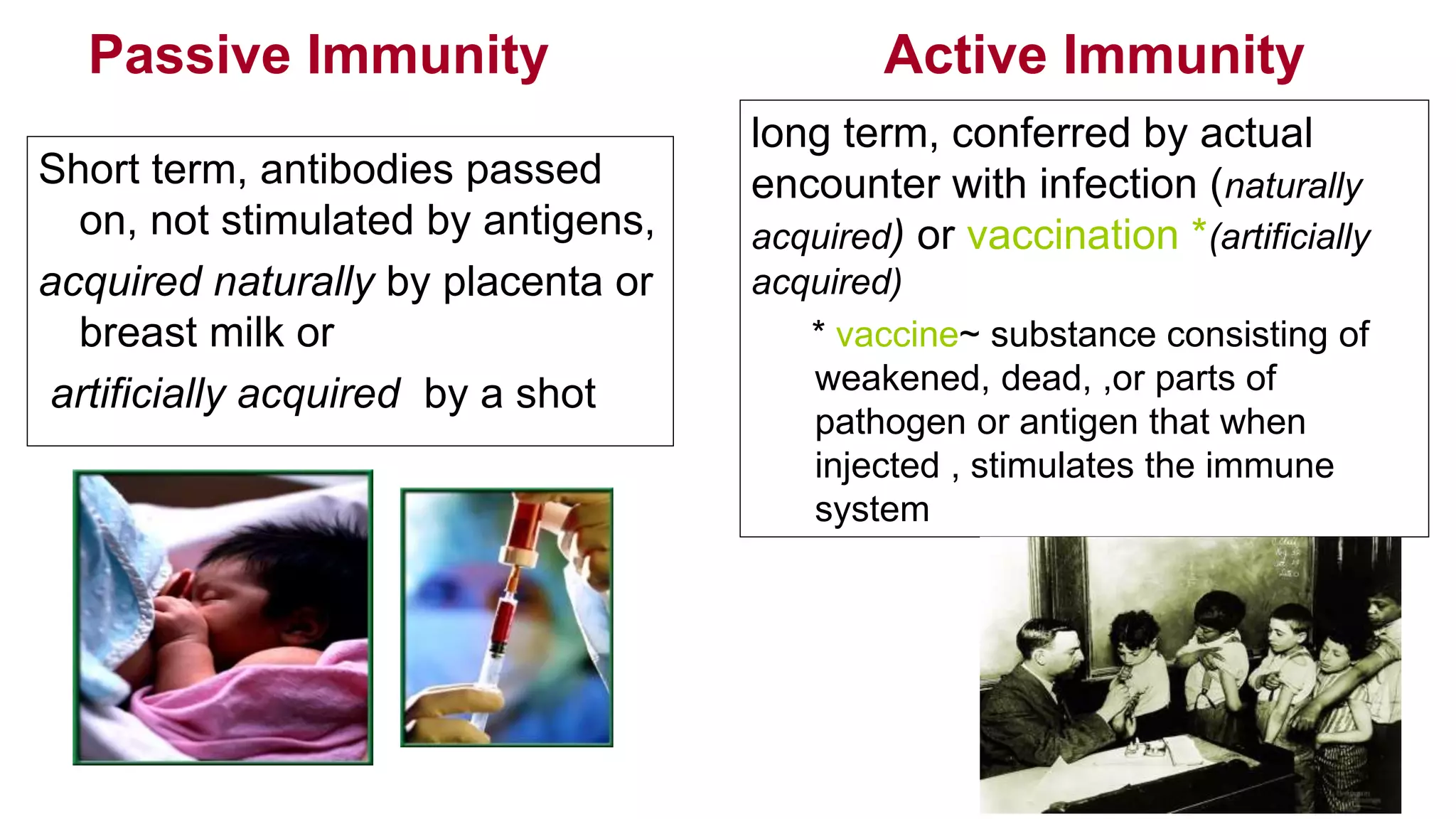physiology of lymphatic and immune system.ppt