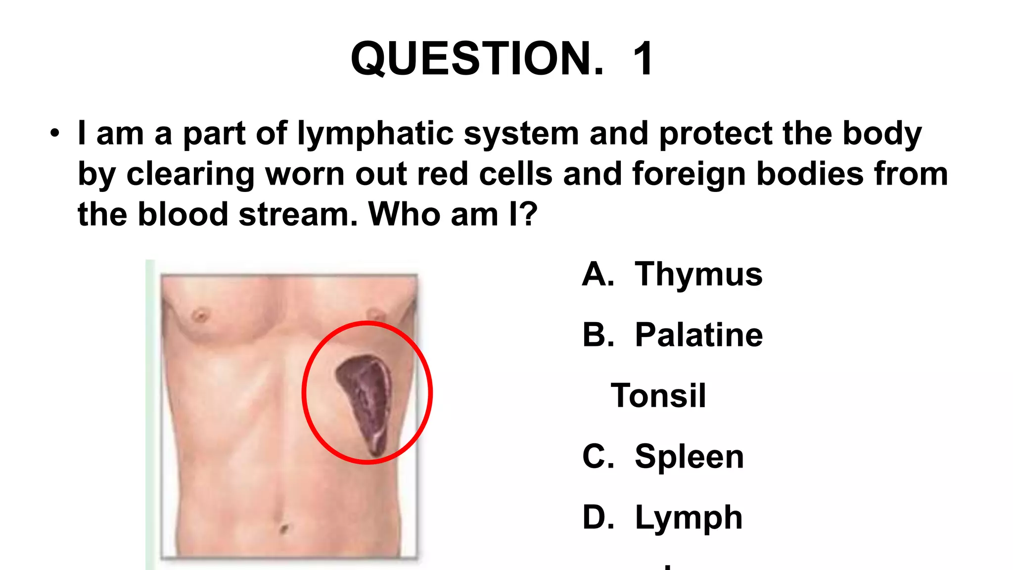physiology of lymphatic and immune system.ppt