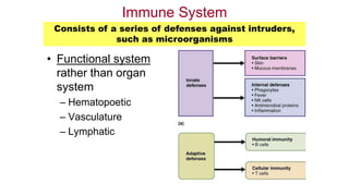 physiology of lymphatic and immune system.ppt