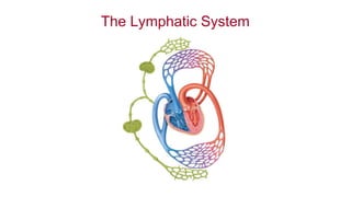 physiology of lymphatic and immune system.ppt