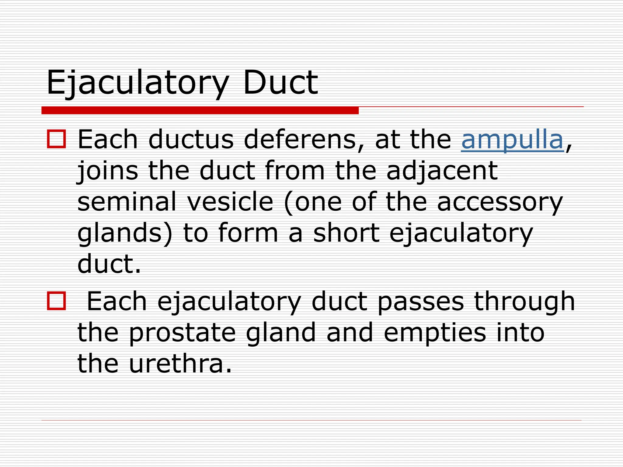 physiology of Male Reproductive System.ppt