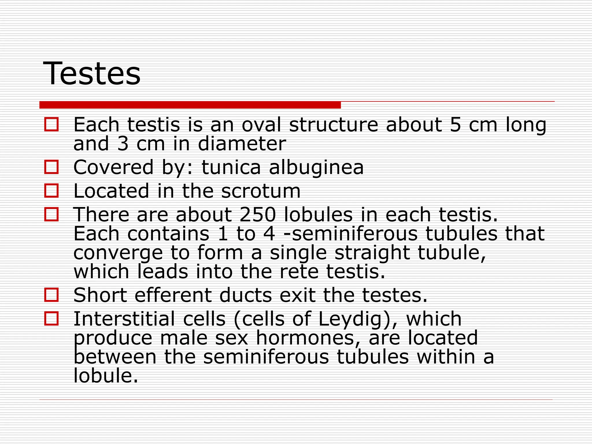 physiology of Male Reproductive System.ppt