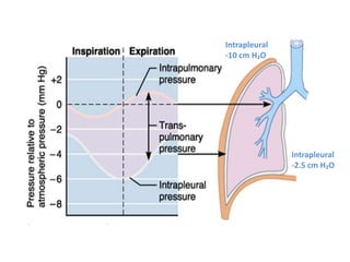 Physiology of mechanical ventilation upload | PPTX