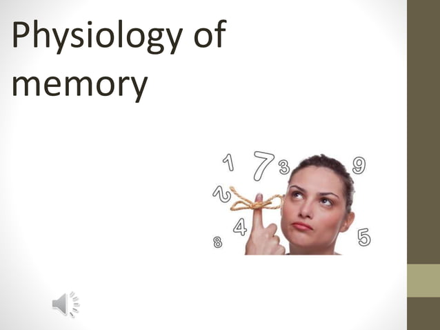 Physiology of memory | PPTX | Brain and Nervous System Disorders ...