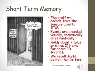 Physiology of memory | PPTX