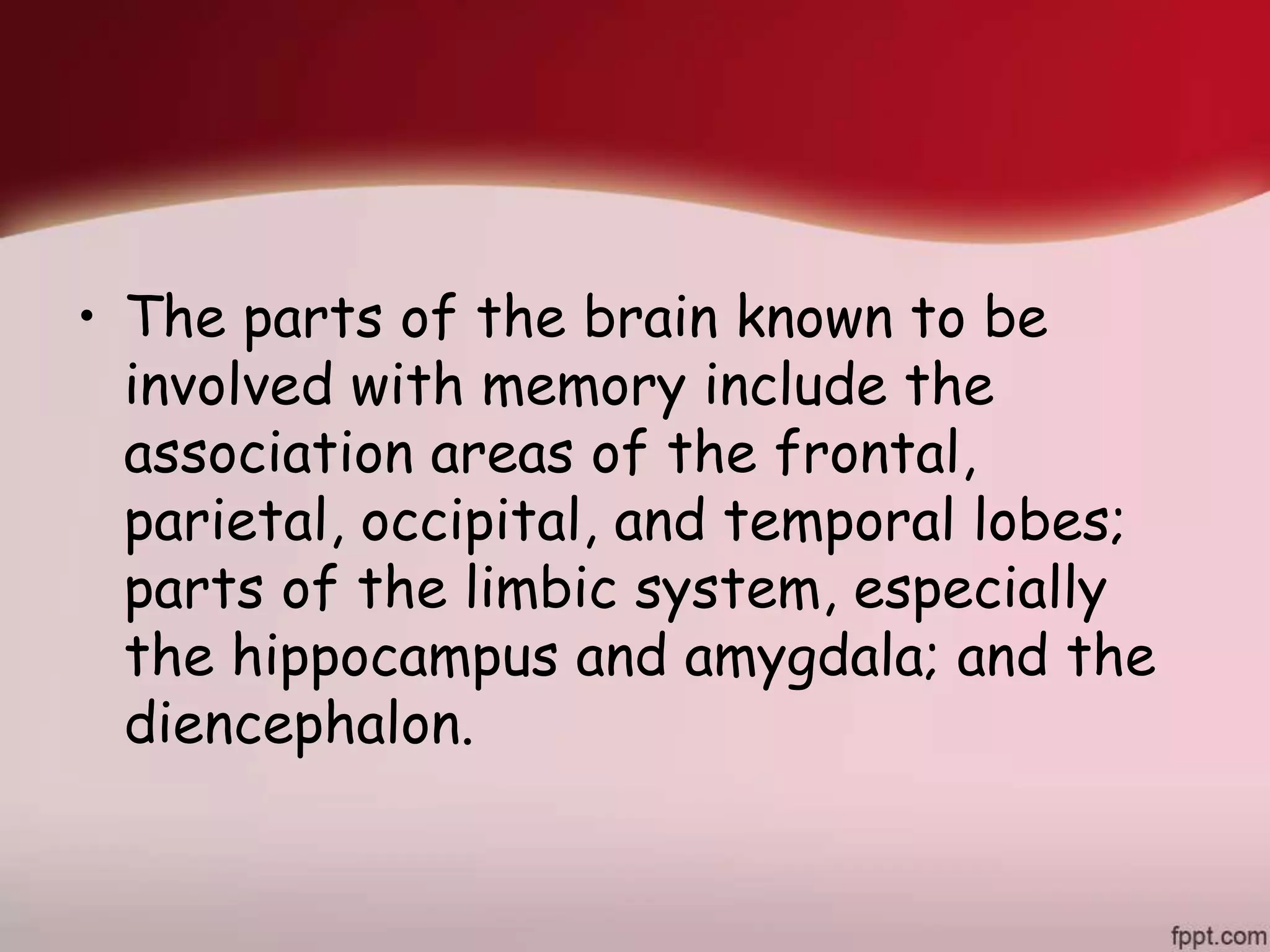 Physiology of memory | PPT