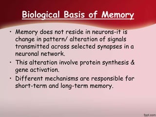 Physiology of memory | PPT
