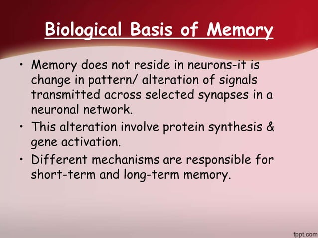 Physiology of memory | PPT | Brain and Nervous System Disorders ...