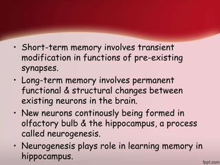 Physiology of memory | PPT