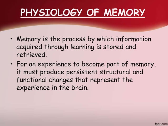 Physiology of memory | PPT | Brain and Nervous System Disorders ...