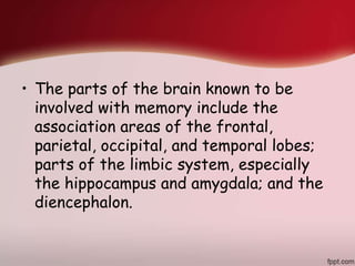 Physiology of memory | PPT
