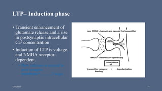 Physiology_of_memory.pdf