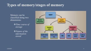 Physiology_of_memory.pdf
