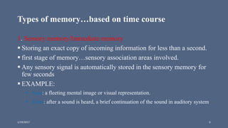 Physiology_of_memory.pdf