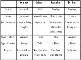 Physiology of memory and learning | PPT