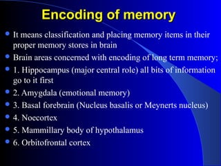 Physiology of memory and learning | PPT
