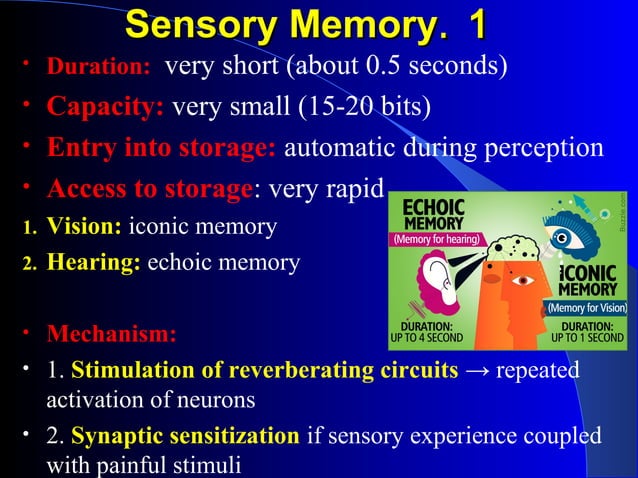 Physiology of memory and learning | PPT