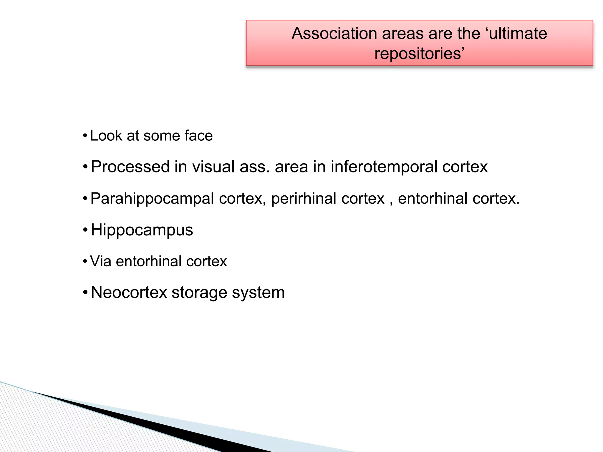 Physiology of memory & learning. | PPTX