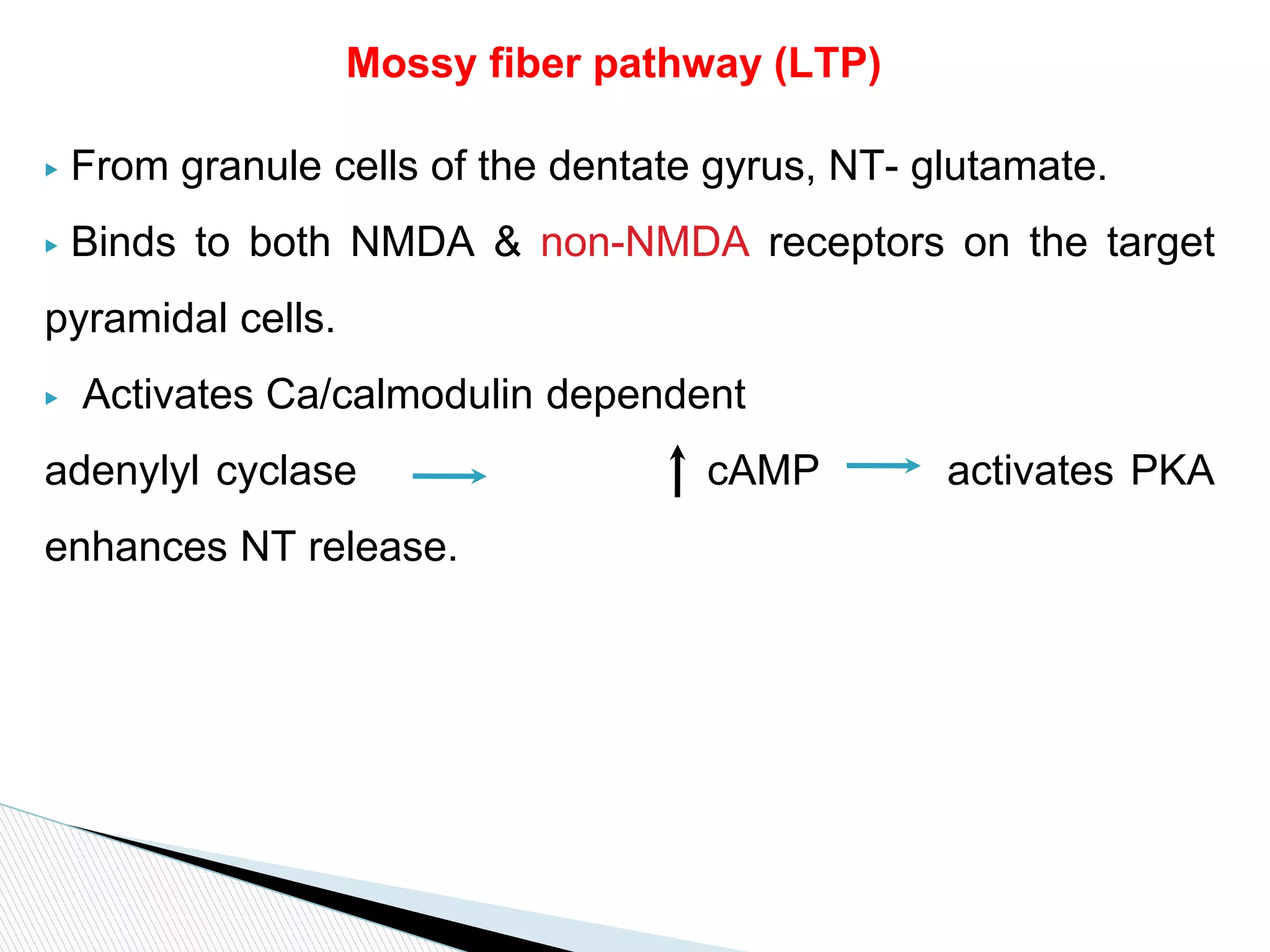 Physiology of memory & learning. | PPTX