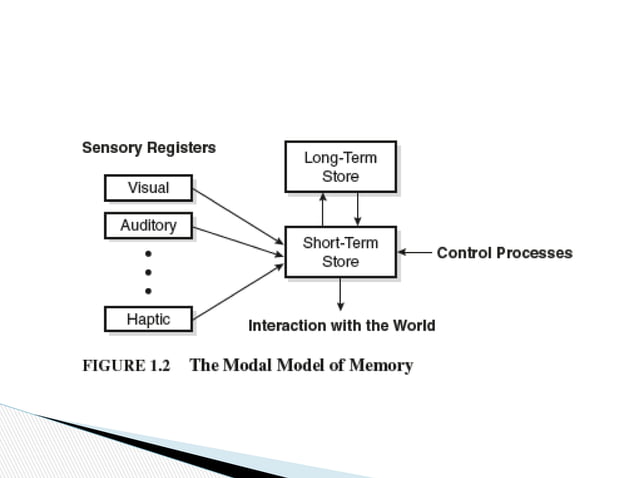 Physiology of memory & learning. | PPTX