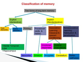 Physiology of memory & learning. | PPTX
