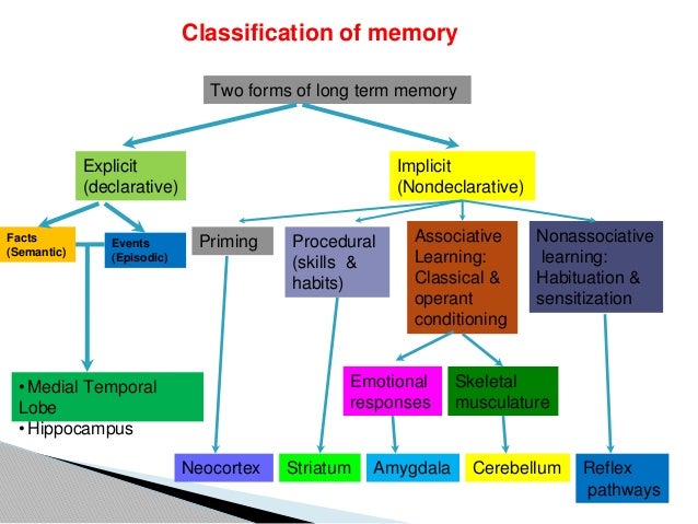 Physiology of memory & learning.