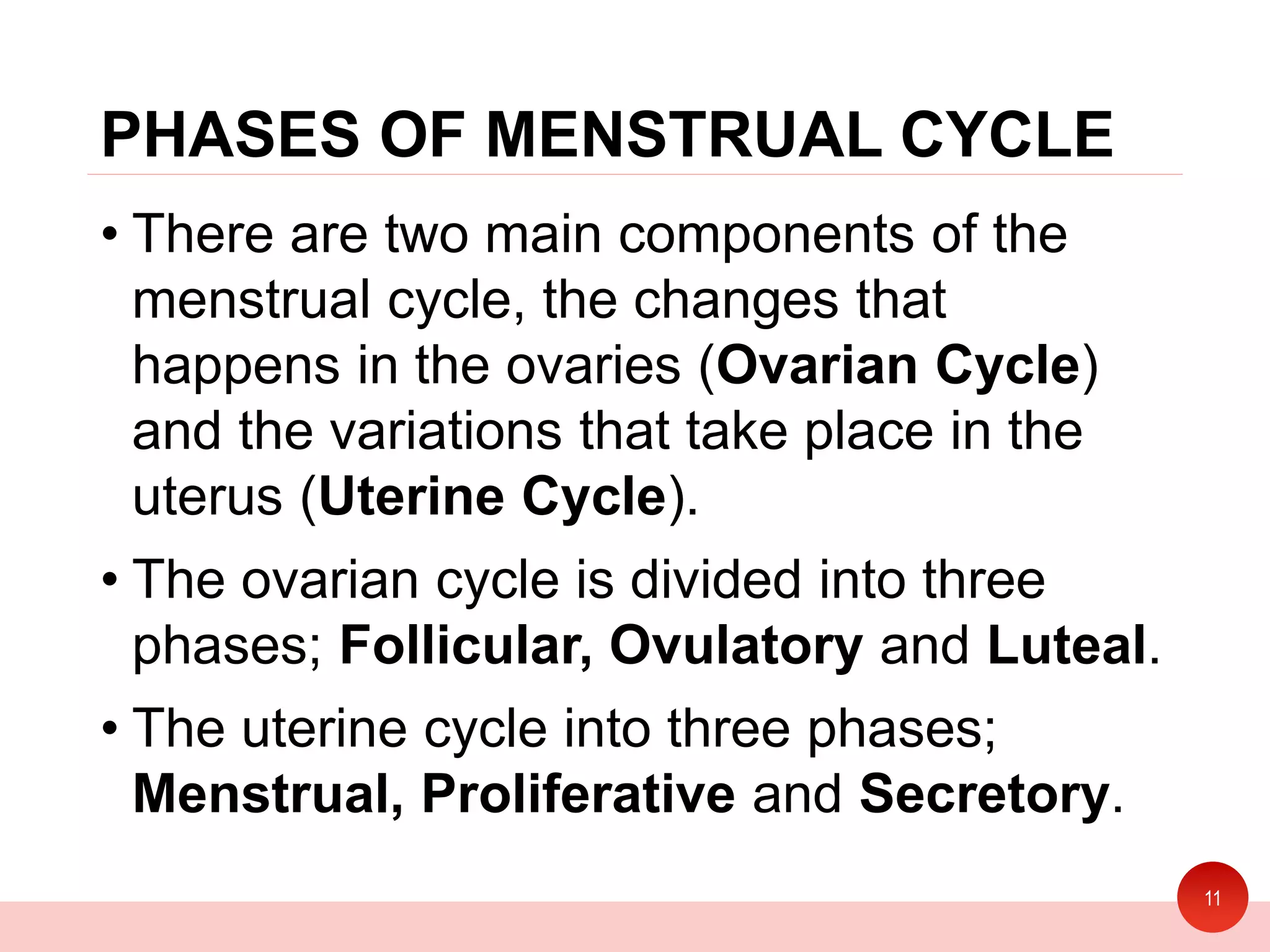 Physiology of Menstrual Cycle. | PPTX