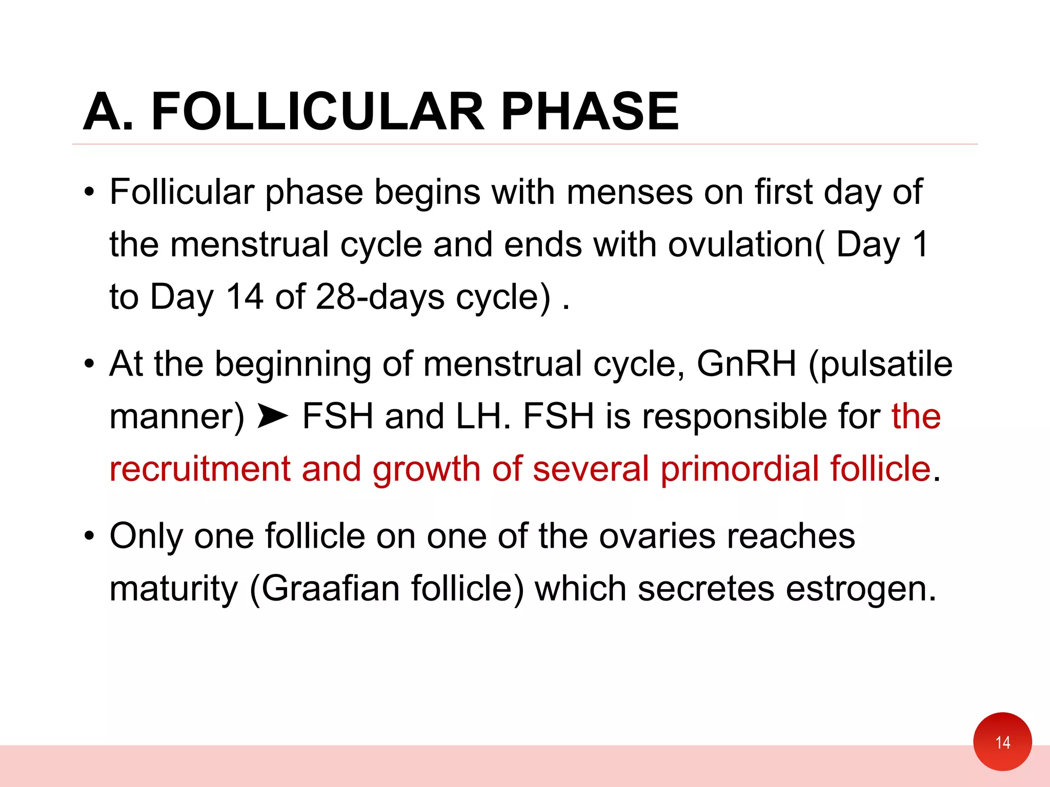 Physiology of Menstrual Cycle. | PPTX