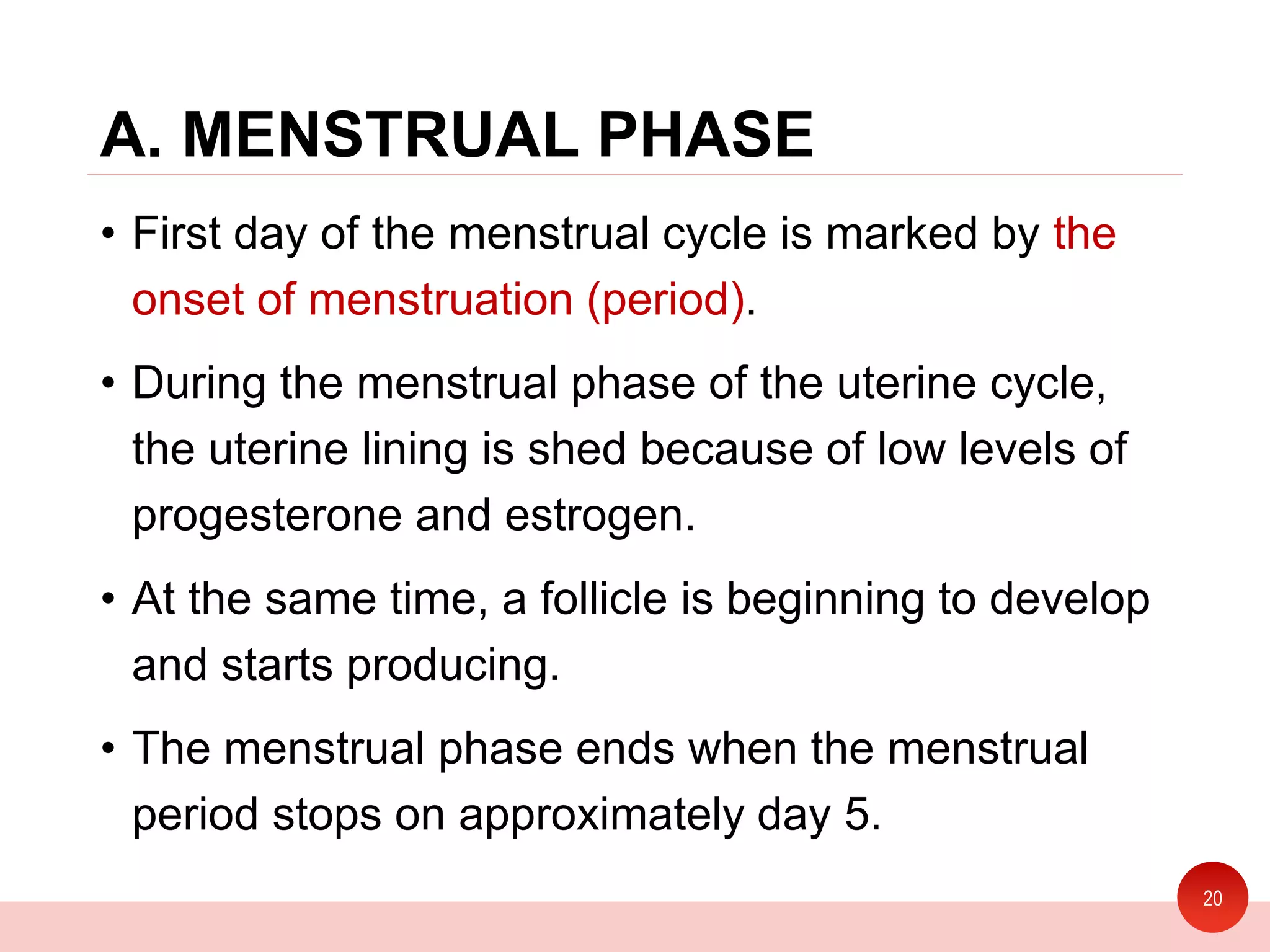 Physiology of Menstrual Cycle. | PPTX