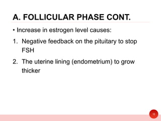 Physiology of Menstrual Cycle. | PPTX