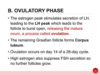 Physiology of Menstrual Cycle. | PPTX
