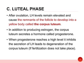 Physiology of Menstrual Cycle. | PPTX