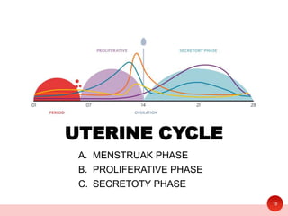 Physiology of Menstrual Cycle. | PPTX