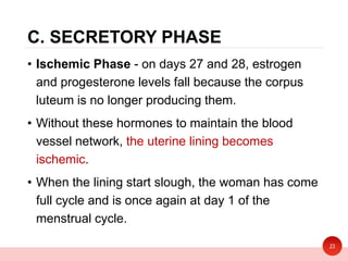 Physiology of Menstrual Cycle. | PPTX