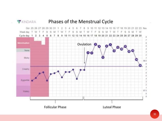 Physiology of Menstrual Cycle. | PPTX