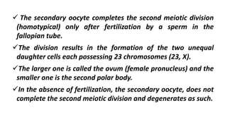 Physiology of menstrual cycle | PPTX