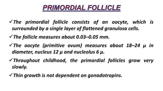 Physiology of menstrual cycle | PPTX