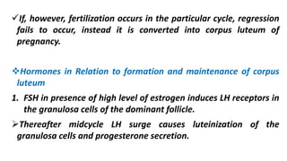 Physiology of menstrual cycle | PPTX