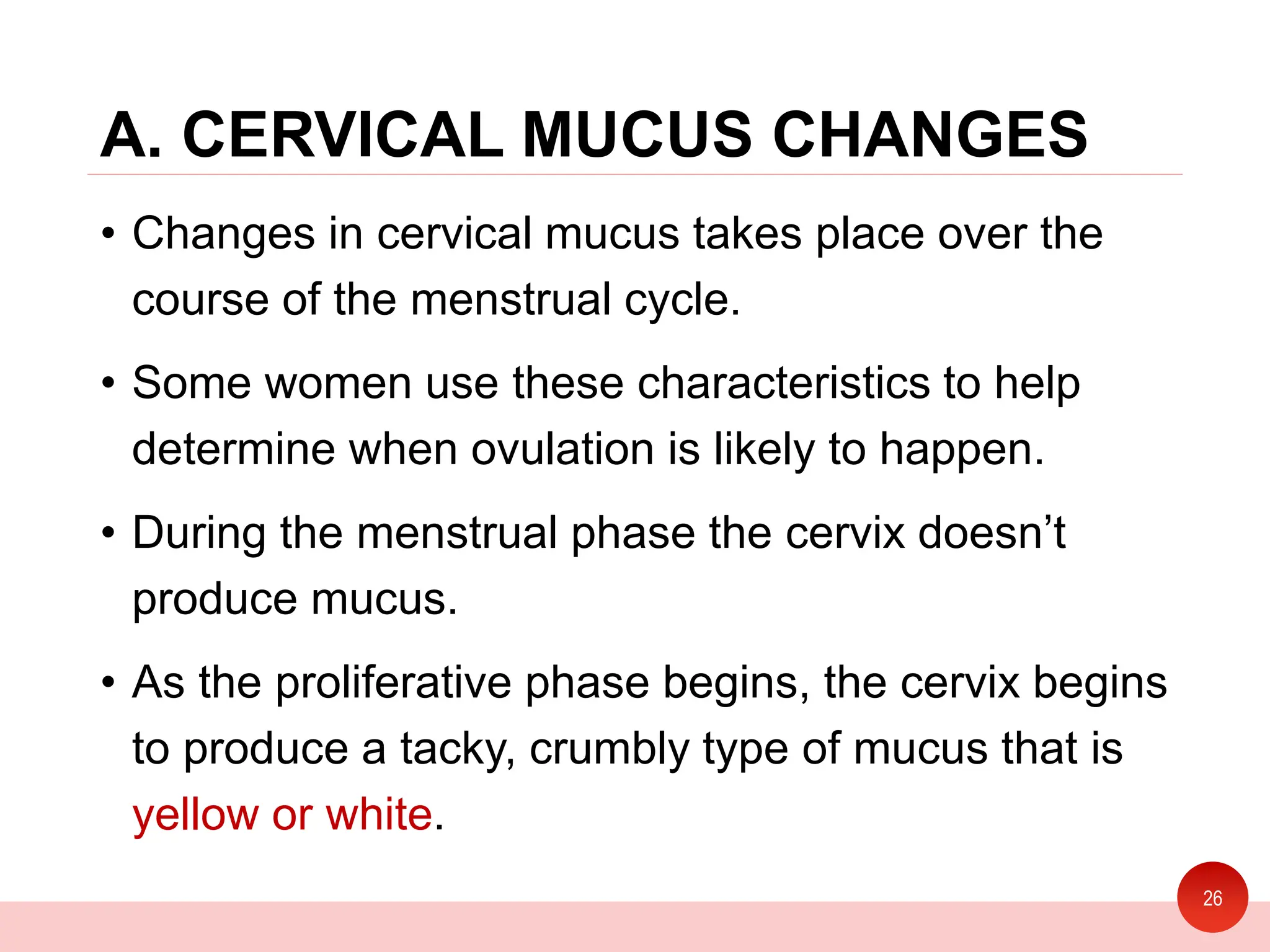 physiology of the menstrual cycle-2026.pdf